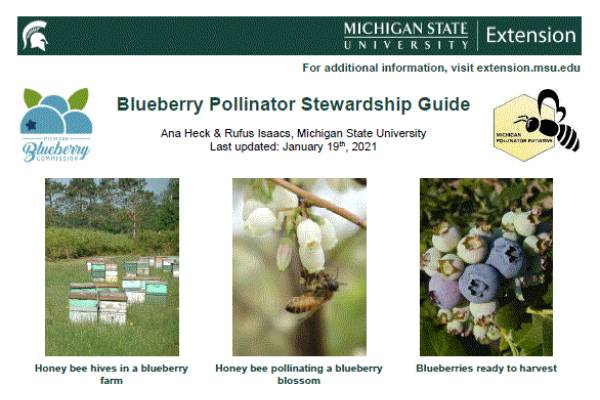 Blueberry Pollinator Stewardship Guide - Pollinators & Pollination