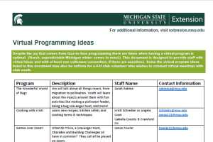 Virtual Programming Ideas - 4-H Volunteering & Mentoring