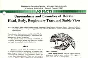 Unsoundness and Blemishes of Horses: Head, Body, Respiratory Tract, and ...