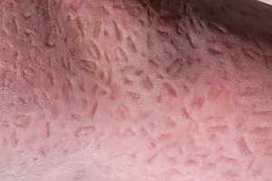 Grain bin and manure pit safety education saves lives - Agriculture