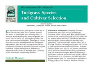 Turfgrass Species and Cultivar Selection - MSU Extension
