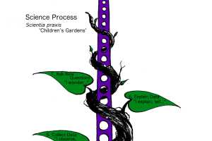 Creating your own science process model example - 4-H Science ...