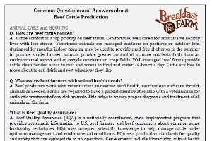 Common Questions and Answers about Beef Cattle Production - Breakfast ...