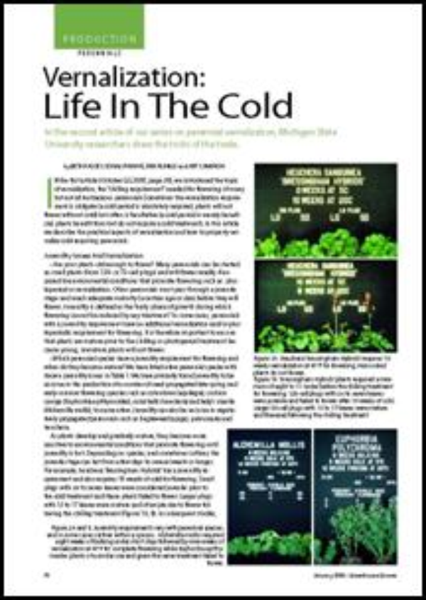 Vernalization: Life in the cold (Vernalization part 2) - Floriculture ...