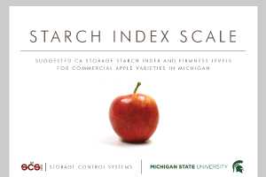 New starch charts for evaluating the maturity of apple varieties in ...