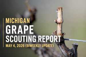 Michigan grape scouting report – May 4, 2026 - Grapes