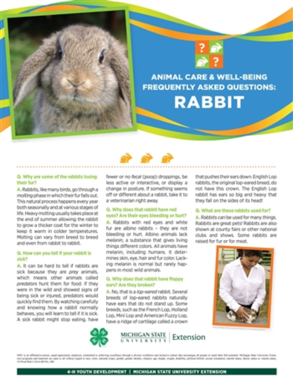 4-H Animal Care & Well-Being Poster – Rabbit 4H1699 - MSU Extension