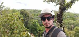 Amazon trees under pressure: new study reveals how forest giants handle ...