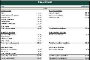 Farm Balance Sheet Template - Farm Management