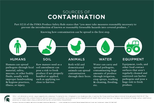 Contamination Infographic - Agrifood Safety