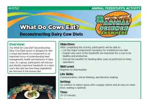 What do cows eat? Deconstructing dairy cow diets - 4-H Animal Science