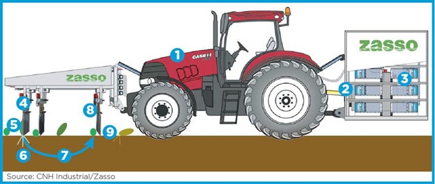 Basics of Electrical Weed Control - Vegetables