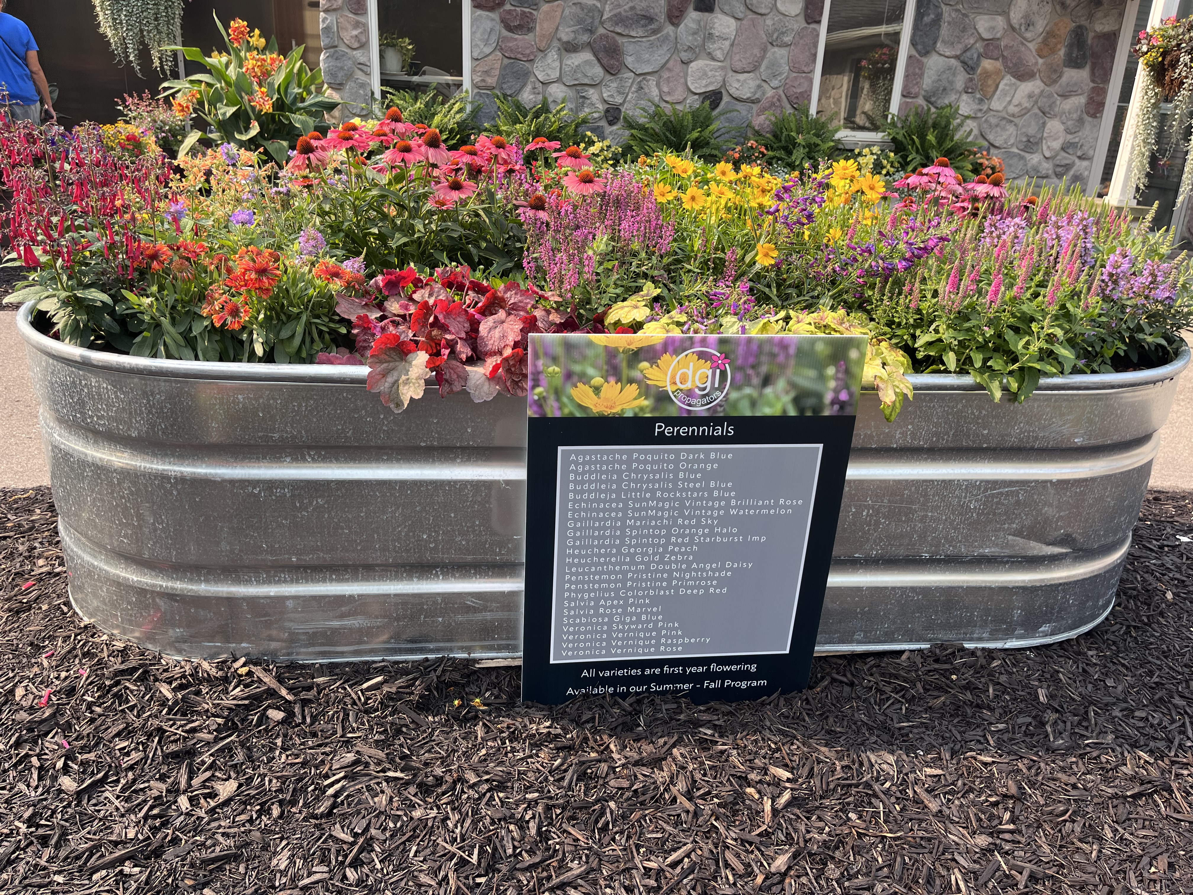 Featured Five 2025: Favorites from DGI Propagators Trial Garden ...